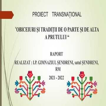 Raport proiect Șendreni.pptx