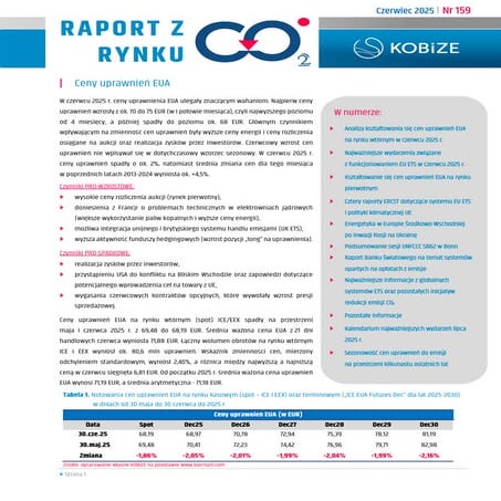 72_KOBiZE_Analiza_rynku_CO2_czerwiec_2025_final_.docx.pdf