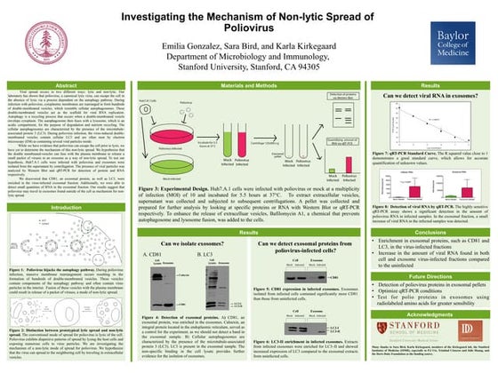 Emilia Gonzalez presentations