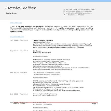 Daniel Miller CV 2015 | PDF