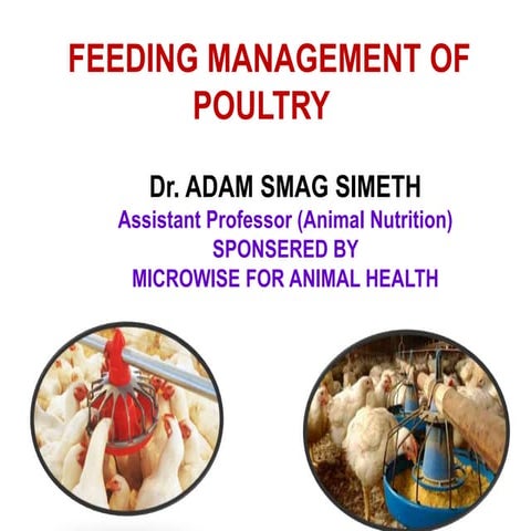 poultryfeeding | PPTX
