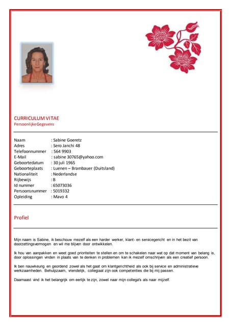 CV Jan Slingerland | PDF | Business | Business and Finance