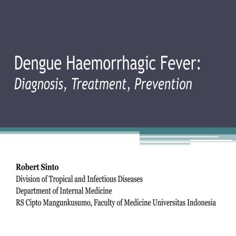 733697570-Dengue-Infection-Robert-Sinto-2024.pdf