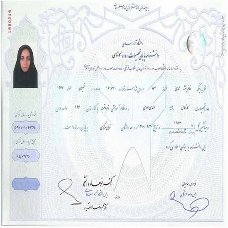 Bachelor's degree in Persian | PDF