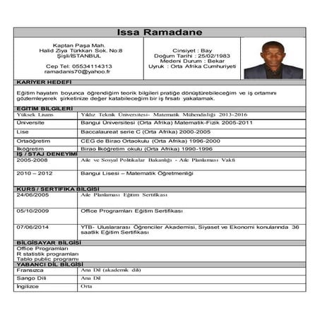 Cv Türkçe | DOCX