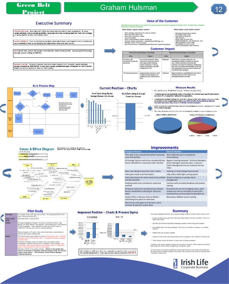 Green Belt - Claims Management Project