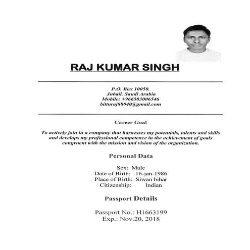 Raj Kumar Singh CV. | PDF