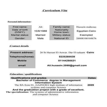 CV.Ali hussein | DOC