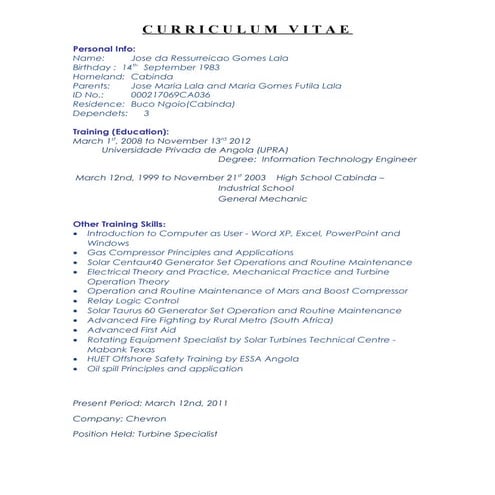 Jose's cv | DOC | Technology & Computing