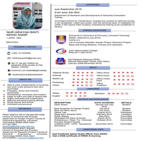 RESUME-NUR HIDAYAH MOHD SANIP | PDF