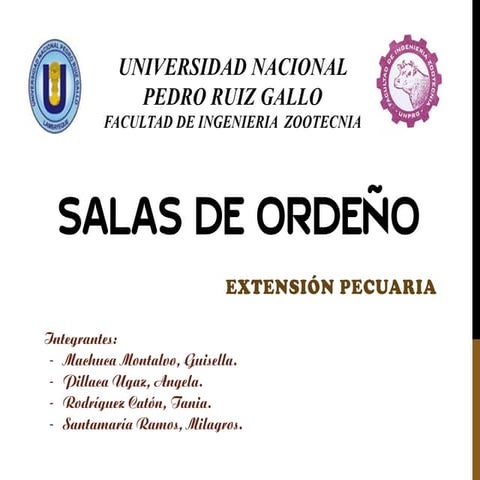73951419 salas-de-ordeno | PDF