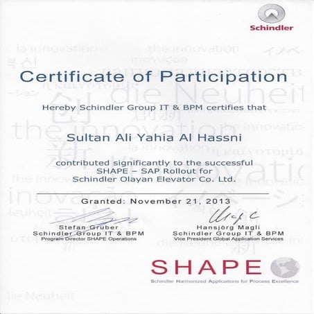 SAP - SHAPE implemention 2013 | PDF