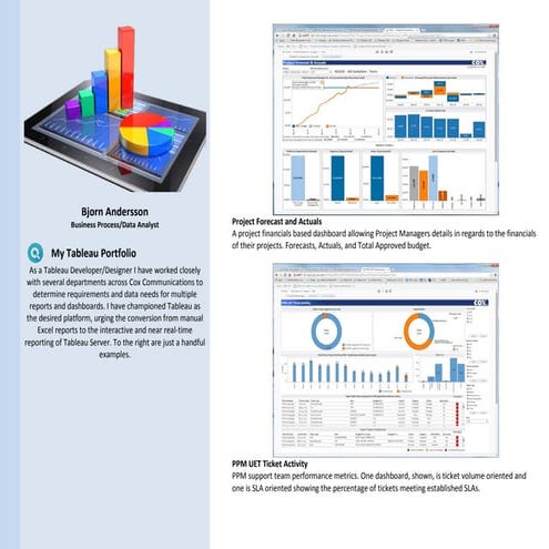 Tableau Portfolio | PDF