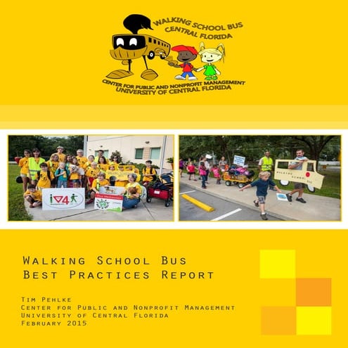 WSB Best Practices Report | PDF