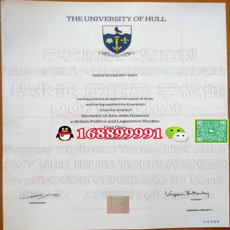 The University of Hull degree offer diploma Transcrip | PDF