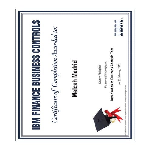 IBM Finance Business Controls | PDF