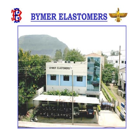 INTRODUCTORY BYMER PROFILE | PDF | Automotive Industry | Industries