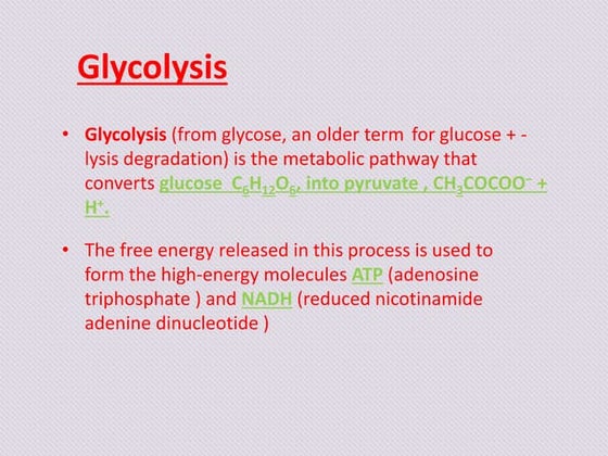 Glycolysis | PPTX | Chemistry | Science