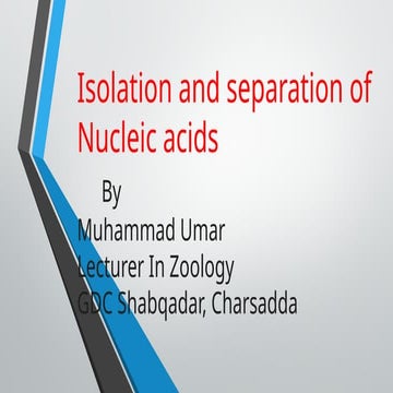741156281-Isolation-and-Separation-of-Nucleic-Acids.pptx