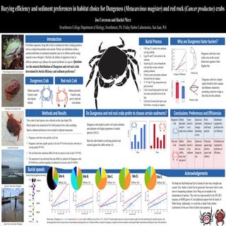 Crab Poster | PPT