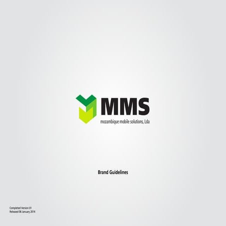 MMS brand guide v01 | PDF