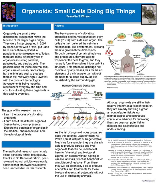 Cassidy Wang Poster Final | PDF