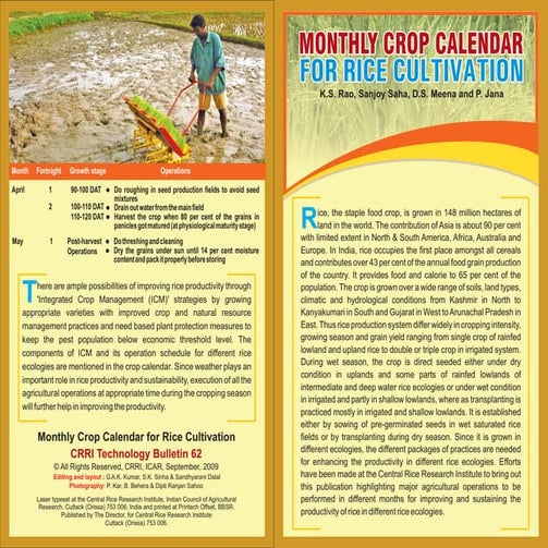 75.-Crop-CalenderMonthly-Crop-Calender-for-Rice-Cultivation-_English.pdf