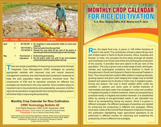 382552082-Vegetable-Garden-Calendar.pdf