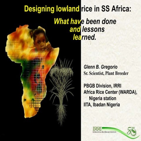 Designing Lowland rice in SS Africa | PDF