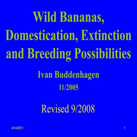Wild Bananas, Domestication, Extinction and Breeding Possibilities | PDF
