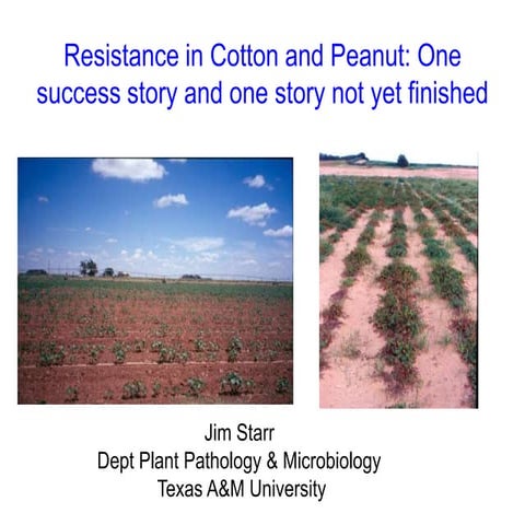 Resistance in Cotton and Peanut | PDF