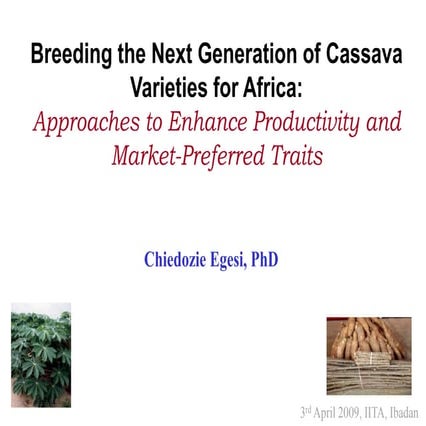 Breeding the Next Generation of Cassava Varieties for Africa ...