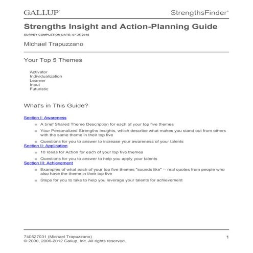 Insight and action planning guide | PDF