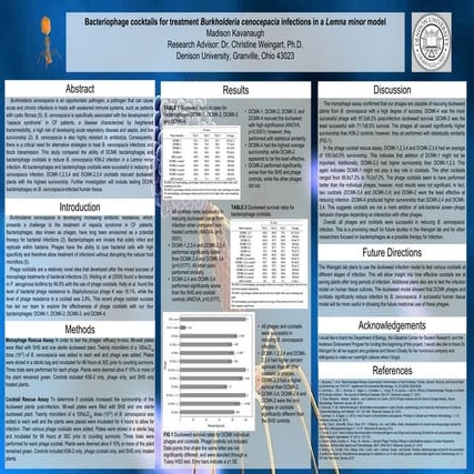 seniorresearchposter.pptx