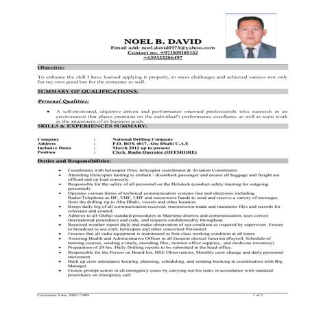 NOEL DAVID CV NEW | DOC