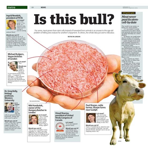 4 – Is This Bull? | PDF