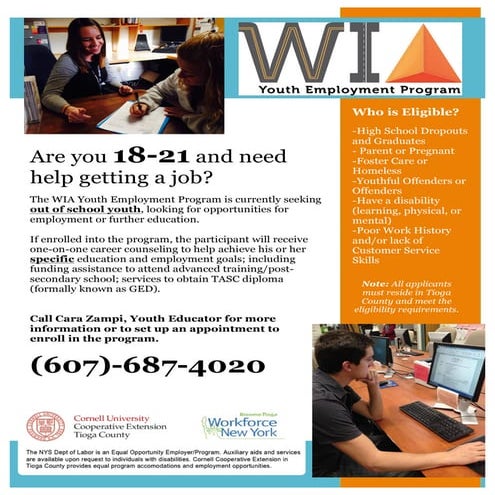 WIA Flyer | PDF