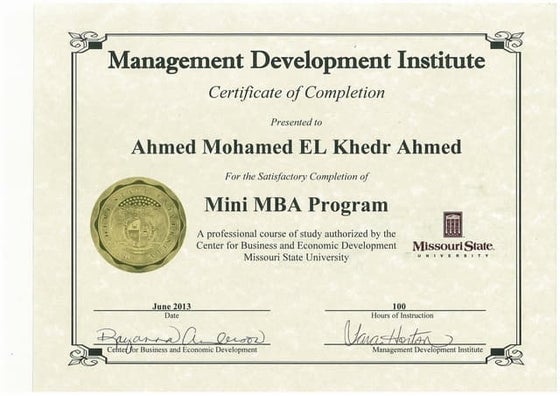 Mini MBA certificate | PDF
