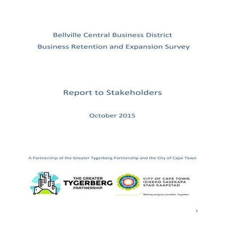 Bellville CBD BRE Final Report | PDF