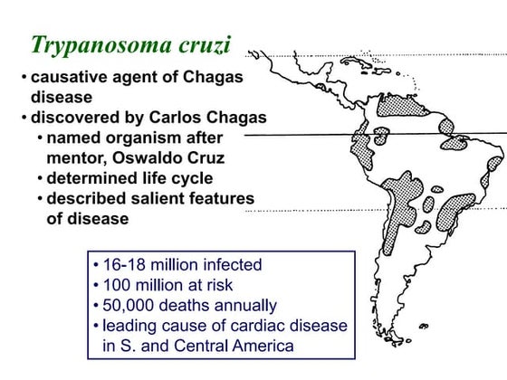 Reduviid bug And Chagas Disease | PPTX
