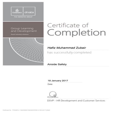 Airside Safety | PDF