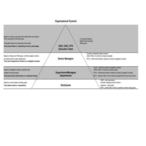 Organizational Pyramid | PDF