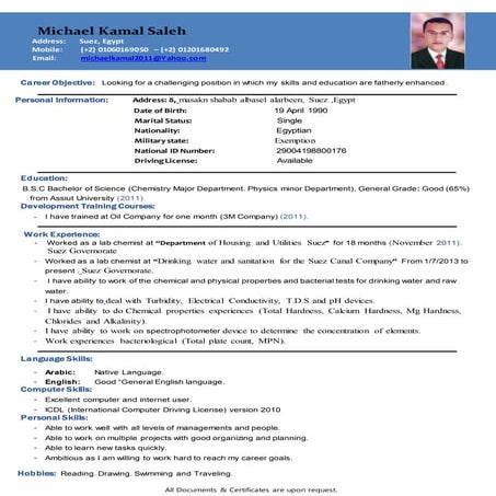 Mohamed Sabry Amin CV | PDF