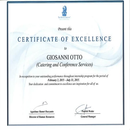 Certificate of Excellence | PDF