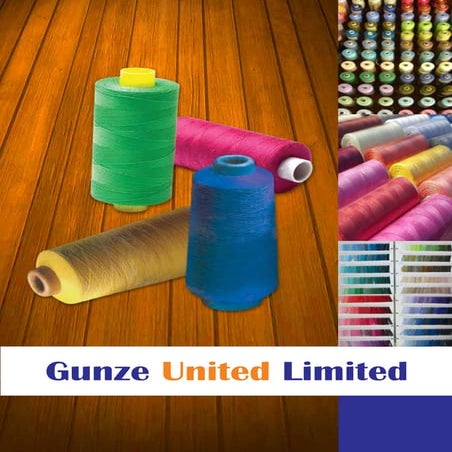 Profile of Gunze Thread (1) | PDF