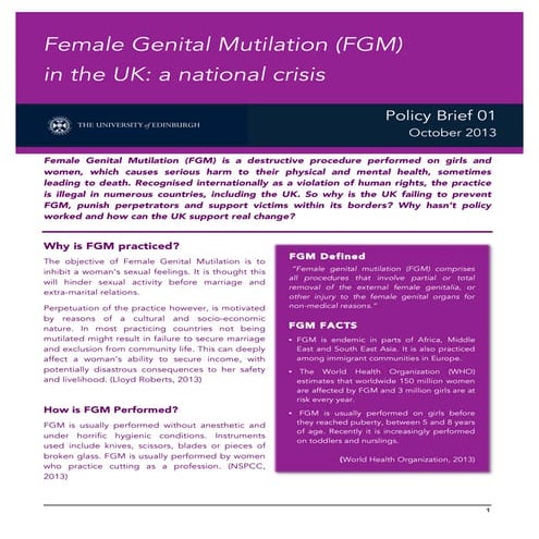 FGM Policy Brief - Oct 2013 | PDF | Sexual Health | Diseases and Conditions