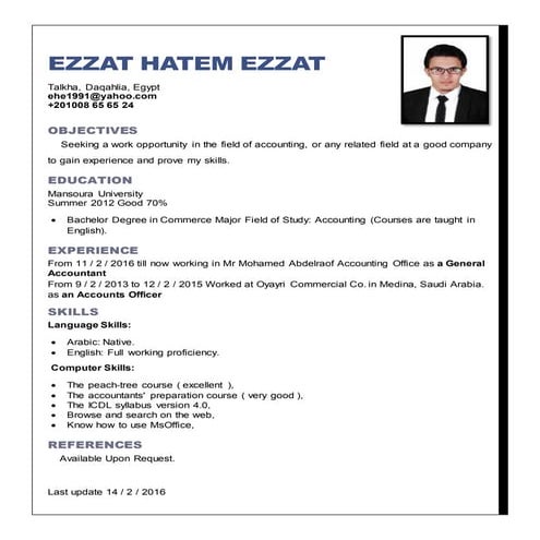 Accountant Ezzat CV | DOCX