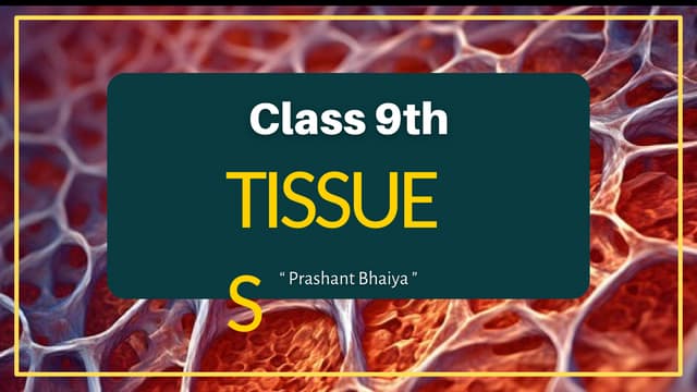 Tissues Class 9 ppt | PPTX