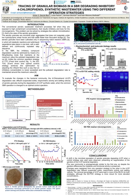 MSc Title | PDF