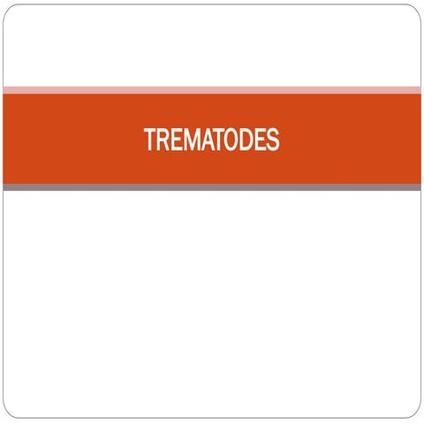 Trematodes flukes faltworms platyhelminthes.ppt